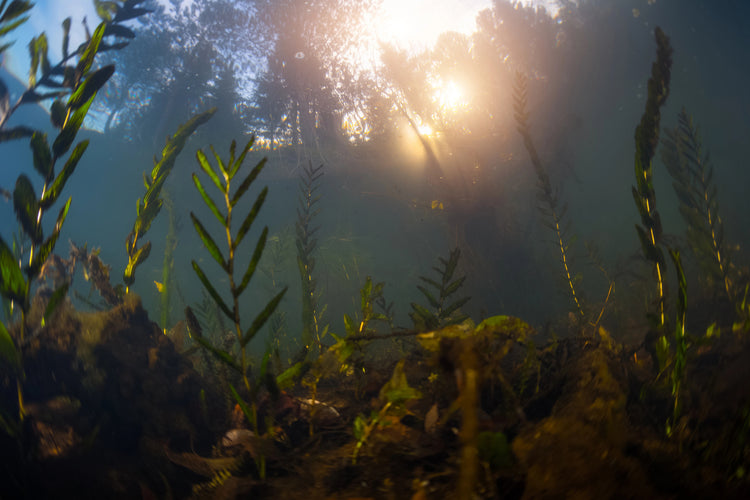 What is your lake bottom made of? – Lake and Pond Shop